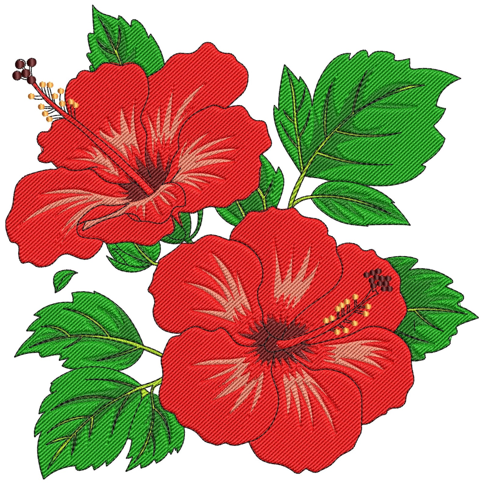 Hibiscus Flower Embroidery Design, Machine Embroidery Design, Summer ...