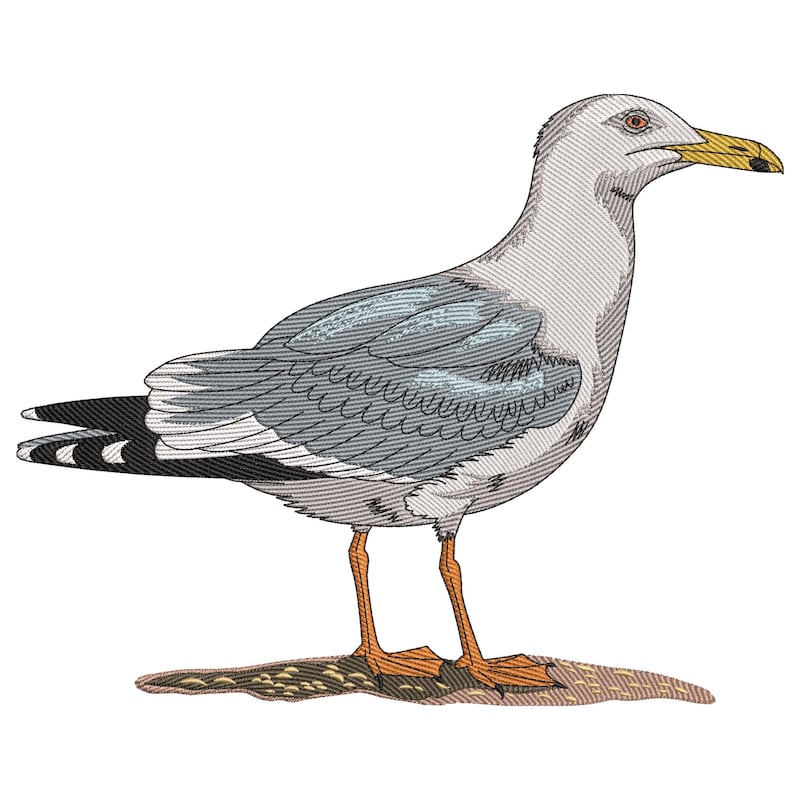 Seagull - Etsy