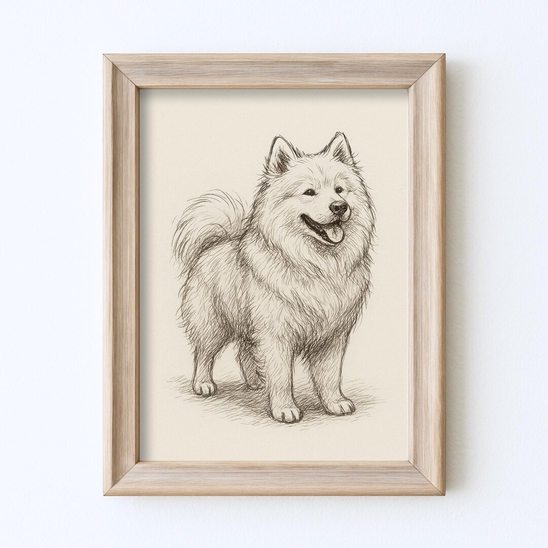 Vintage Samoyed Dog Sketch Drawing Pet Minimal Line Wall Art Print Dog ...