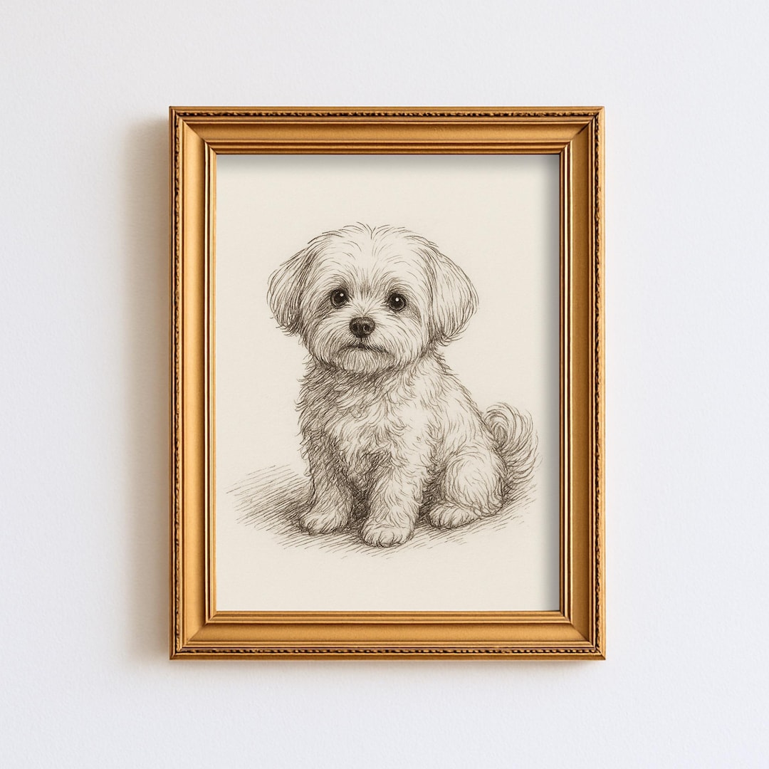 Vintage Maltese Dog Sketch Drawing Pet Minimal Line Wall Art ...