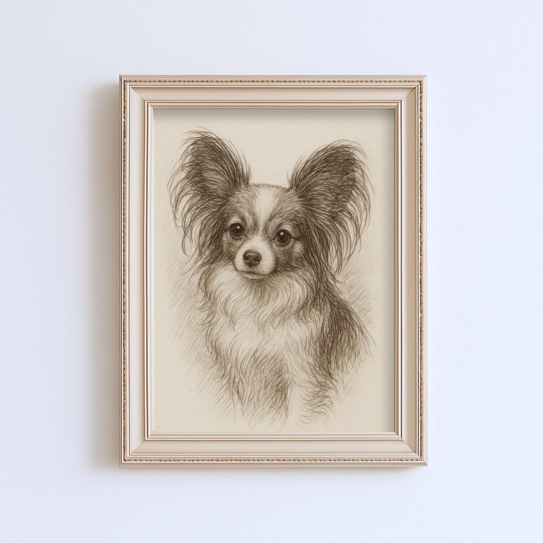 Vintage Papillon Dog Sketch Drawing Pet Minimal Line Wall Art Print Dog ...