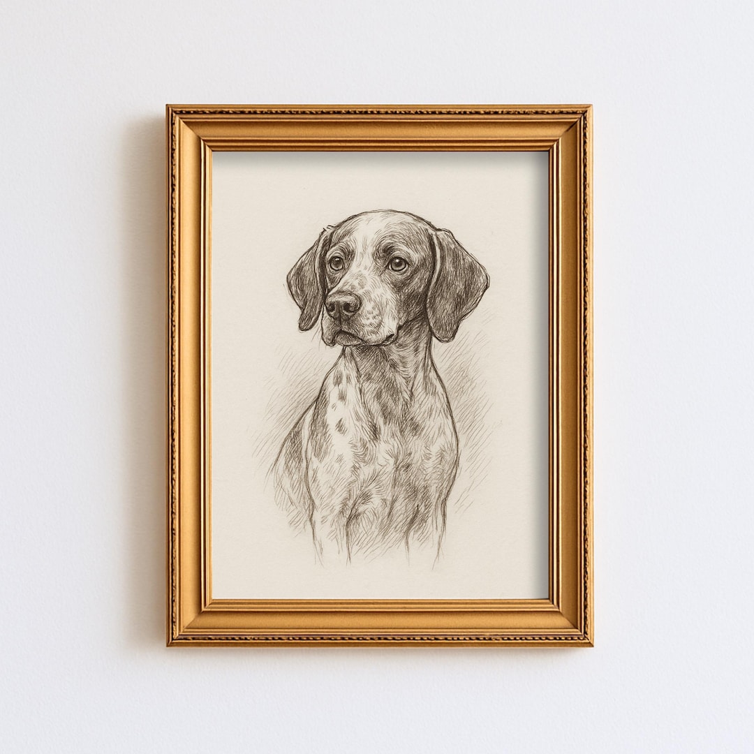 Vintage English Pointer Dog Sketch Drawing Pet Minimal Line Wall Art ...