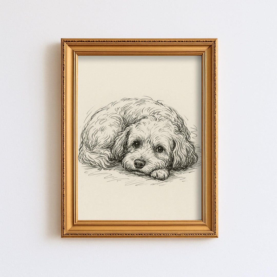 Vintage Cavapoo Sketch Drawing Pet Minimal Line Wall Art Illustration ...
