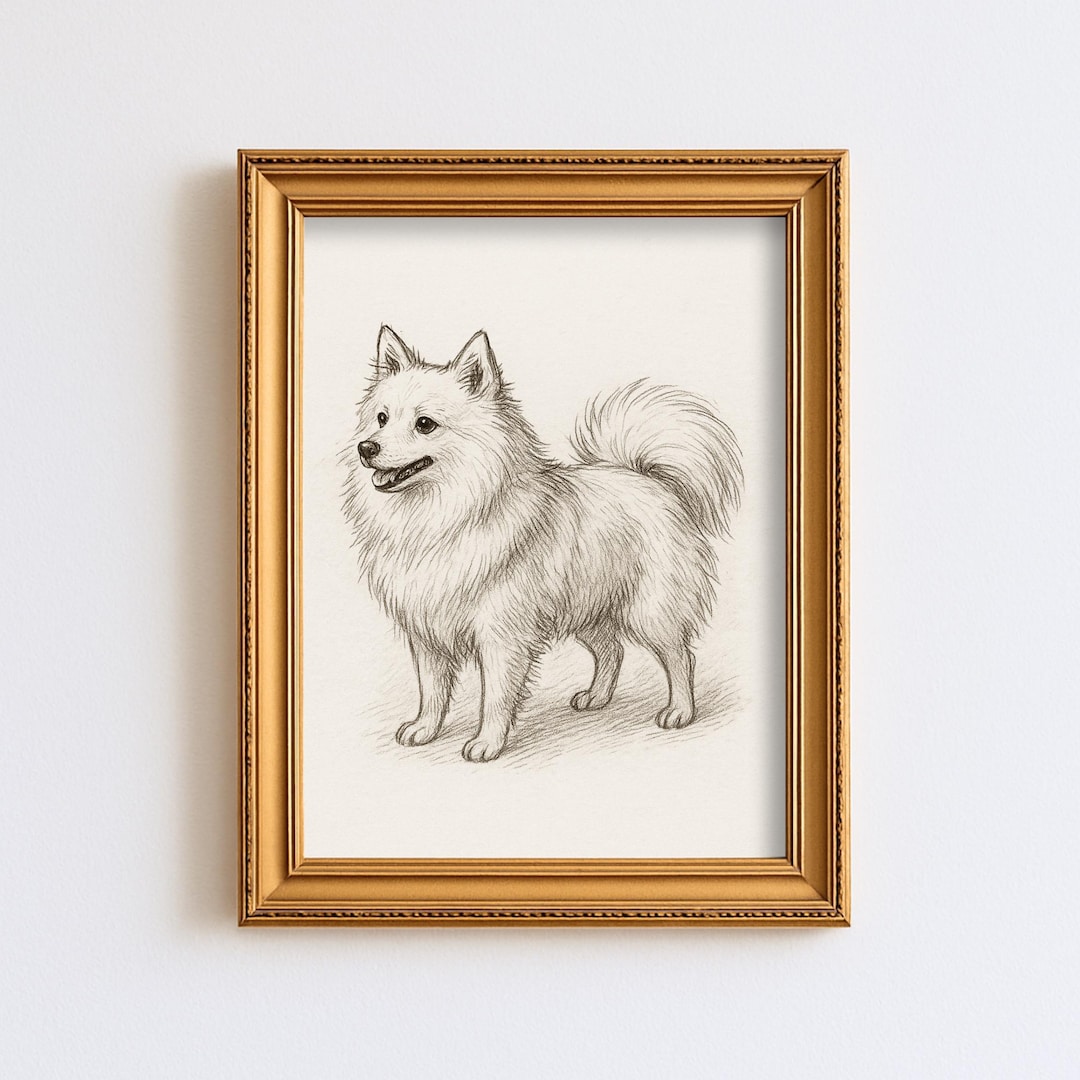 Vintage Japanese Spitz Dog Sketch Drawing Pet Minimal Line Wall Art ...