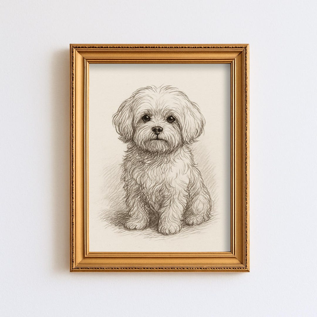 Vintage Maltese Dog Sketch Drawing Pet Minimal Line Wall Art ...