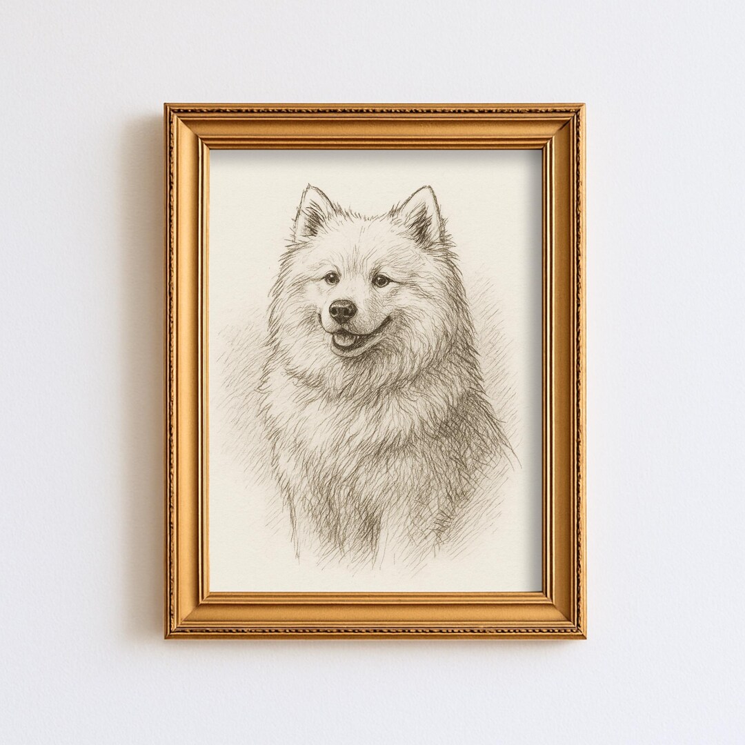 Vintage Samoyed Dog Sketch Drawing Pet Minimal Line Wall Art Print Dog ...