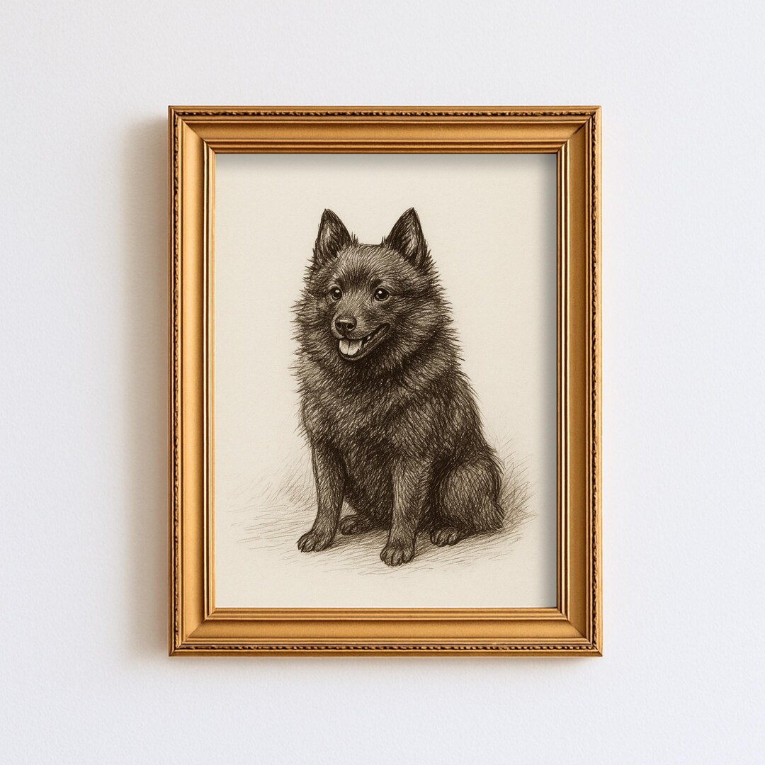 Vintage Schipperke Dog Sketch Drawing Pet Minimal Line Wall Art Print ...