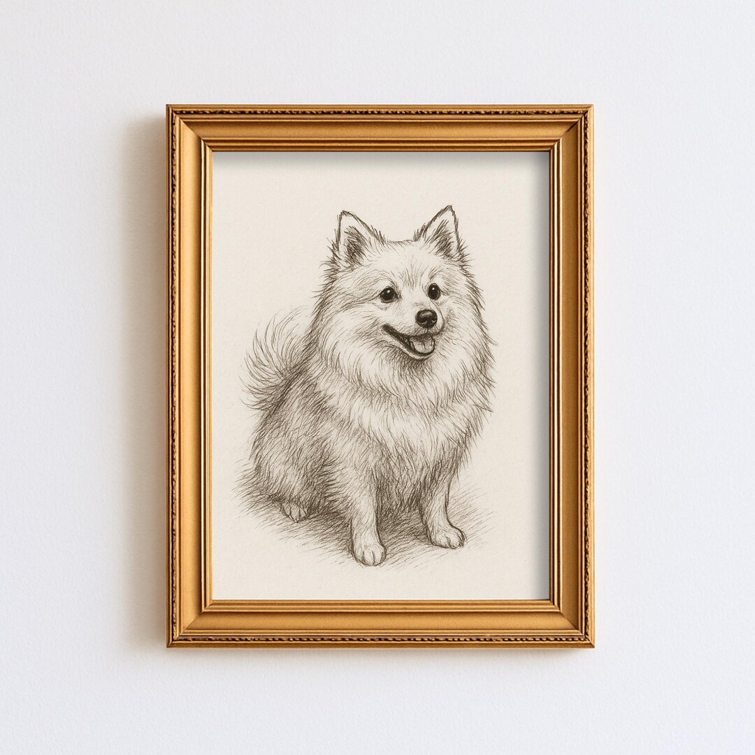 Vintage Japanese Spitz Dog Sketch Drawing Pet Minimal Line Wall Art ...