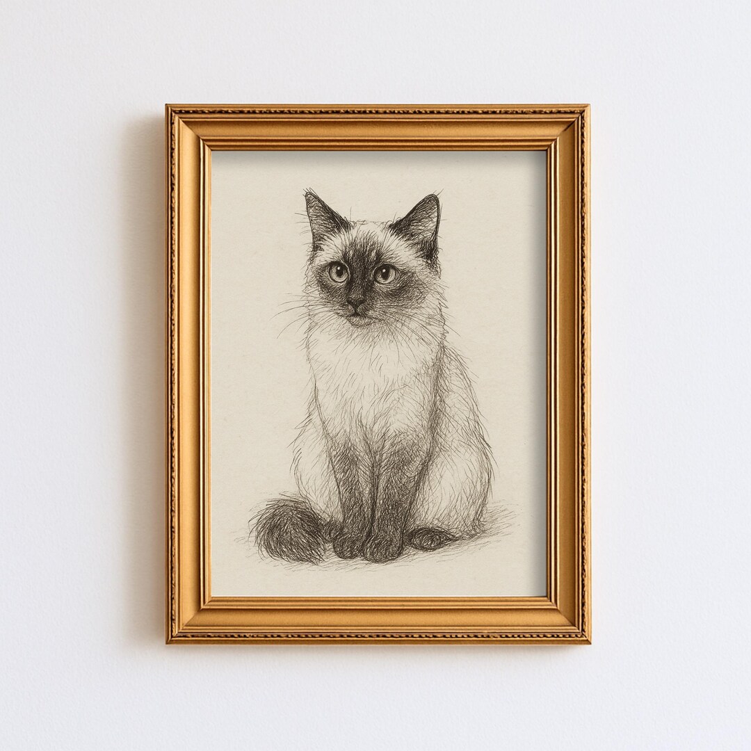 Vintage Balinese Cat Sketch Pet Drawing Minimal Line Wall Art ...