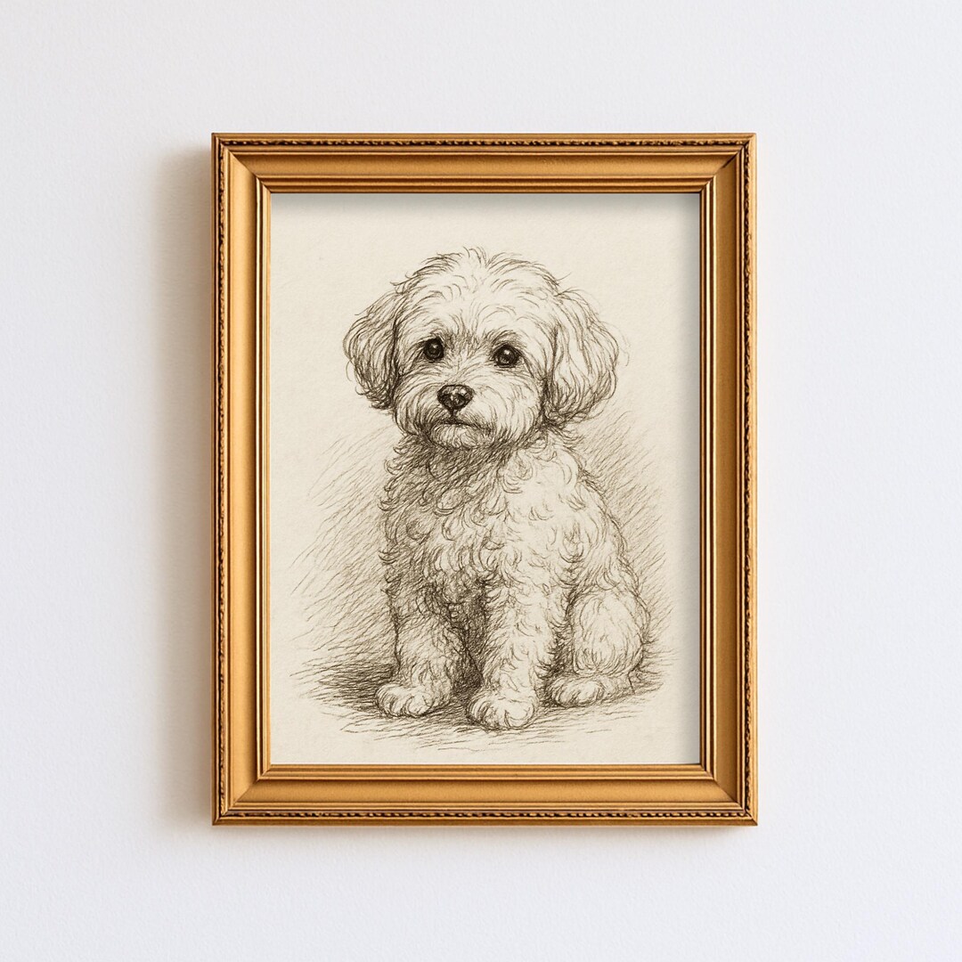 Vintage Maltipoo Dog Sketch Drawing Pet Minimal Line Wall Art ...