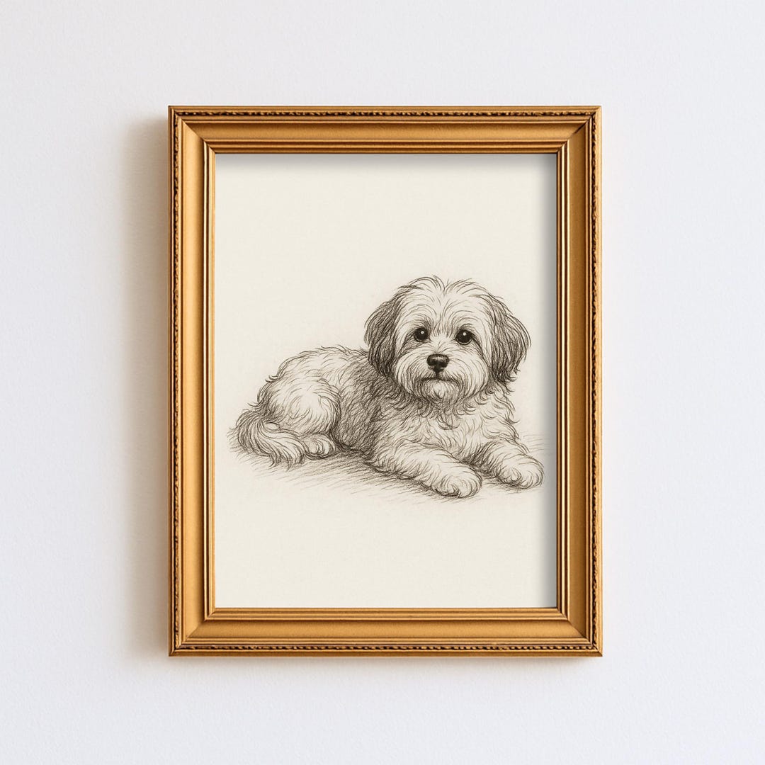 Vintage Havanese Dog Sketch Drawing Pet Minimal Line Wall Art ...