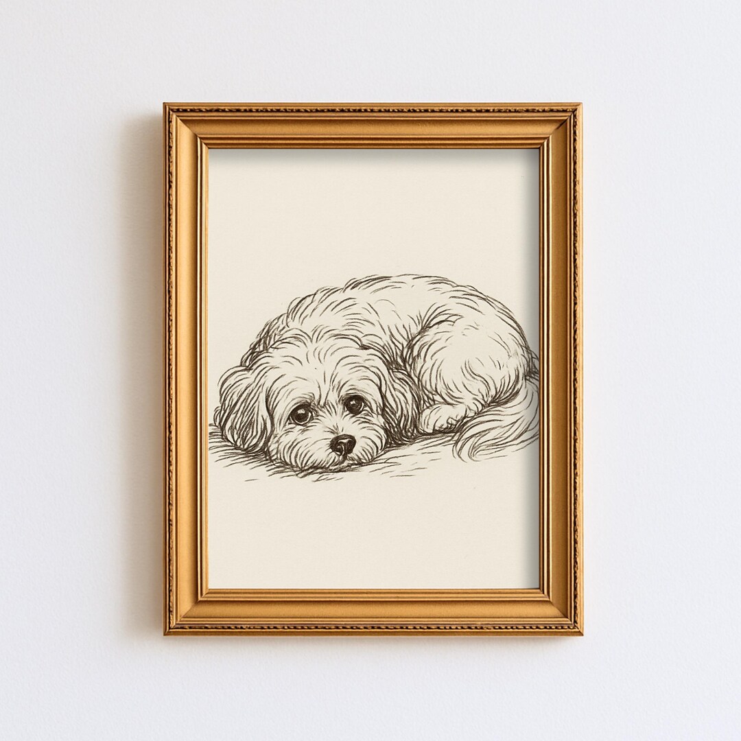 Vintage Havanese Dog Sketch Drawing Pet Minimal Line Wall Art ...