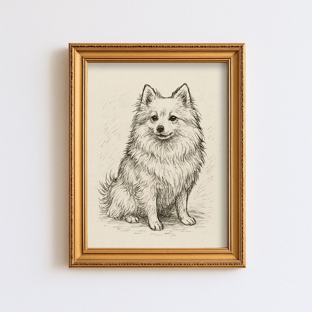 Vintage American Eskimo Dog Sketch Drawing Pet Minimal Line Wall Art ...