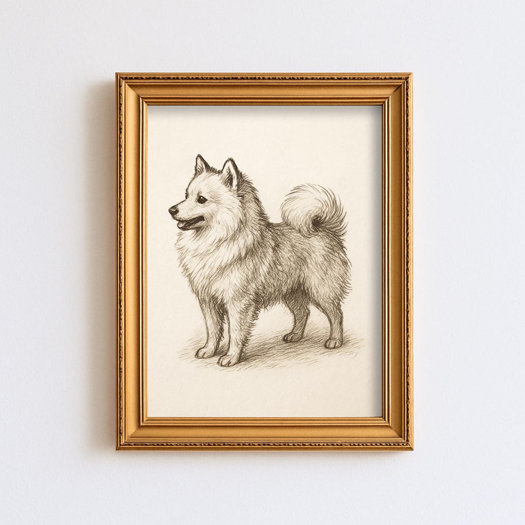 Vintage Japanese Spitz Dog Sketch Drawing Pet Minimal Line Wall Art ...