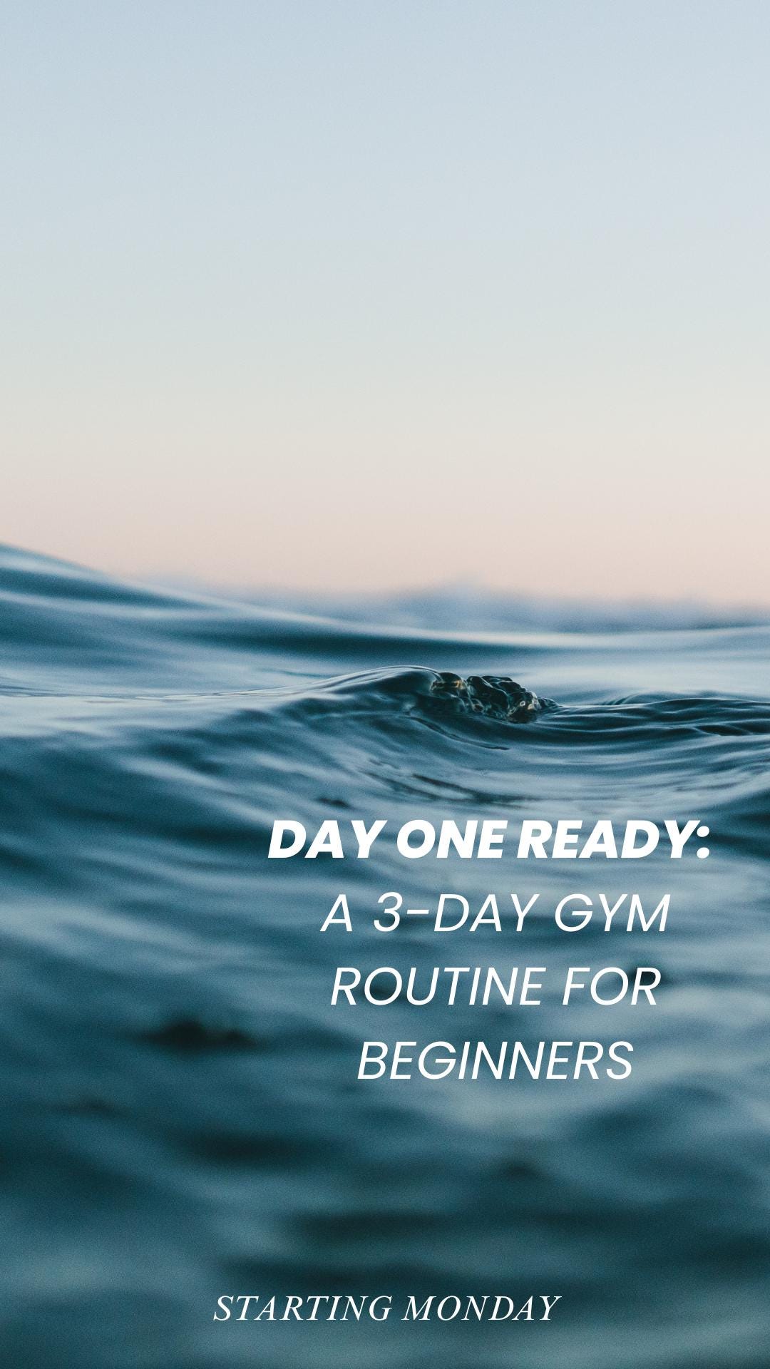 Day One Ready: A 3-day Gym Routine for Beginners - Etsy