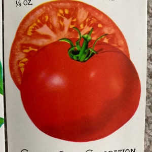 Lot of 20 Different Vintage Unused Fruit & Vegetable Seed Packets ...