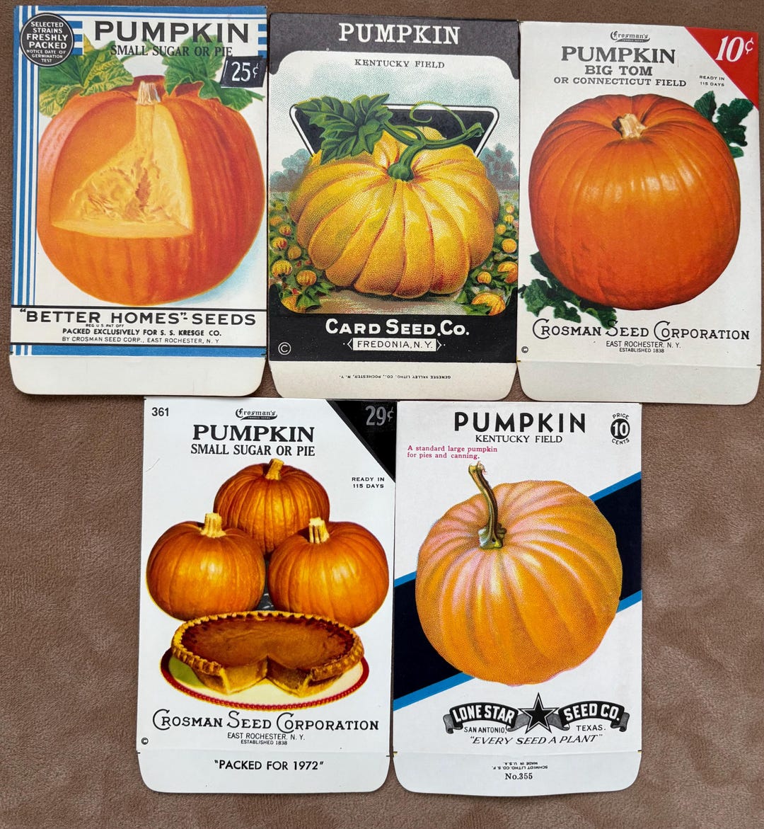 Collection of 5 Different Vintage Pumpkin Seed Packets; NOS, Never Used ...