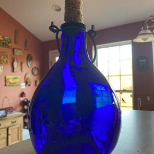 Vintage Cobalt Blue Glass Bug Catcher, Antique Hanging Fly Trap - Etsy