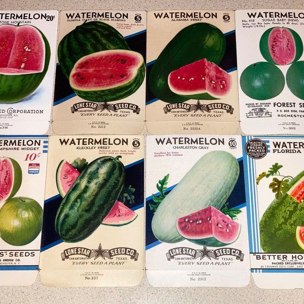 Watermelon Seeds - Etsy