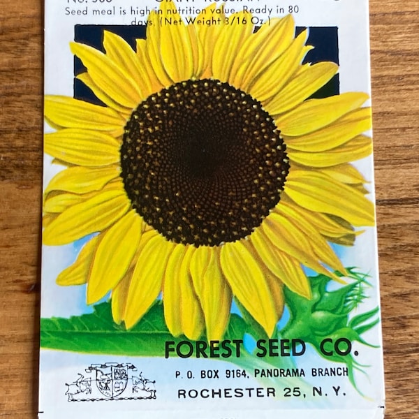 Sunflower Packets - Etsy
