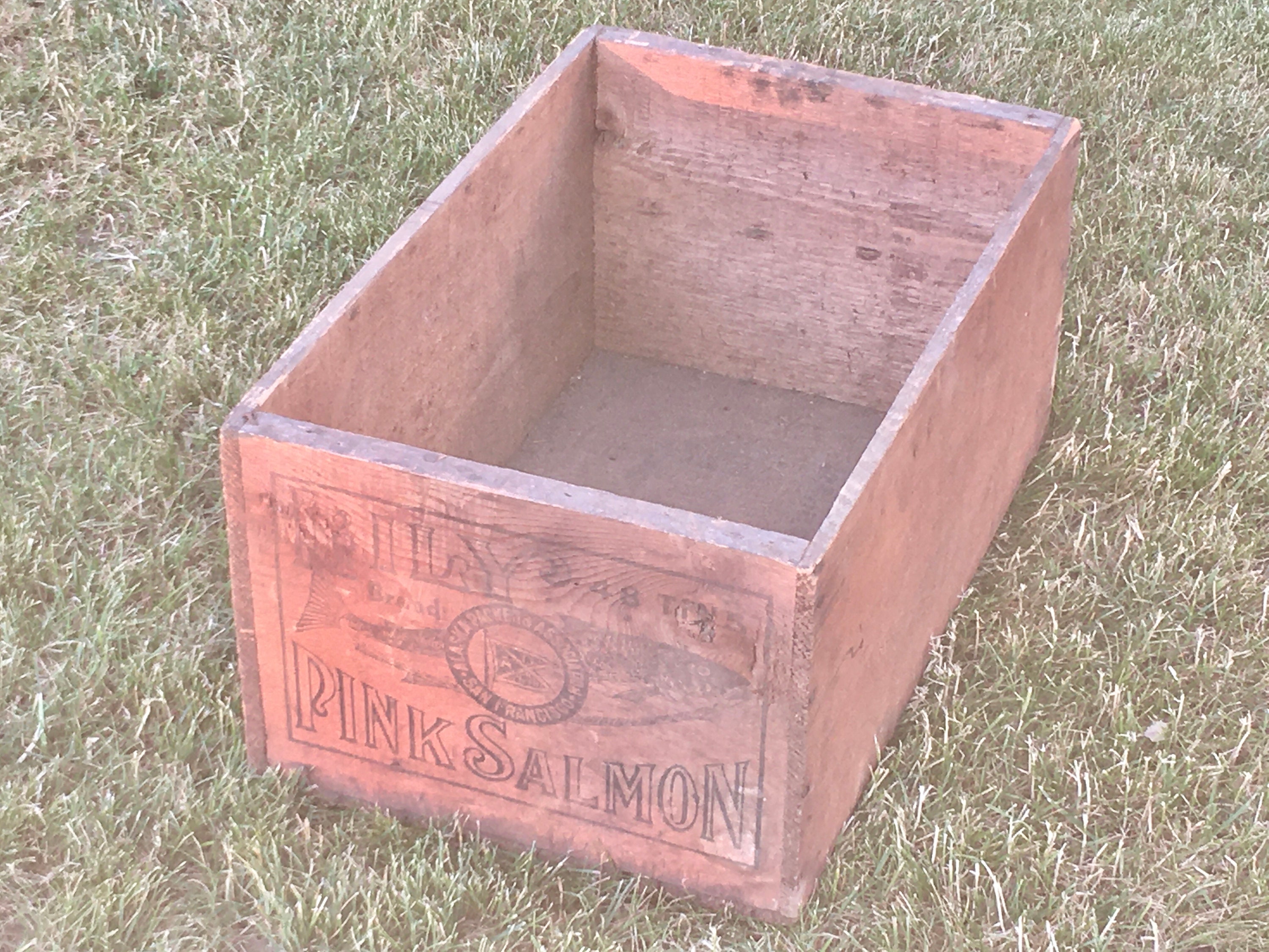 Early 1900s Antique Wooden Advertising Shipping Crate: Lily Brand Salmon