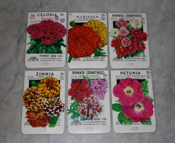 Set of 6 Vintage Flower Seed Packs from Forest Seed Co. | Etsy