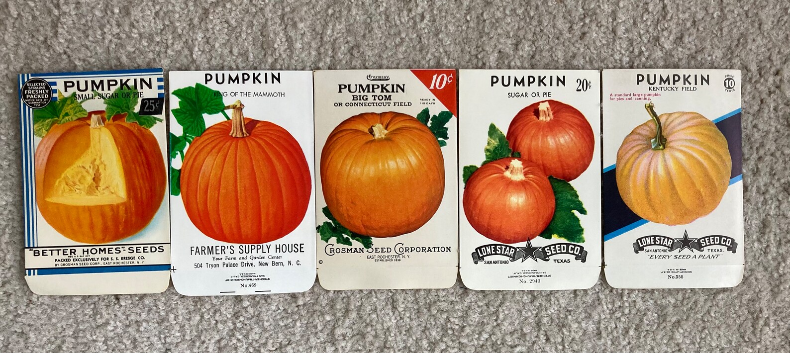 Collection of 5 Different Vintage Pumpkin Seed Packets NOS - Etsy