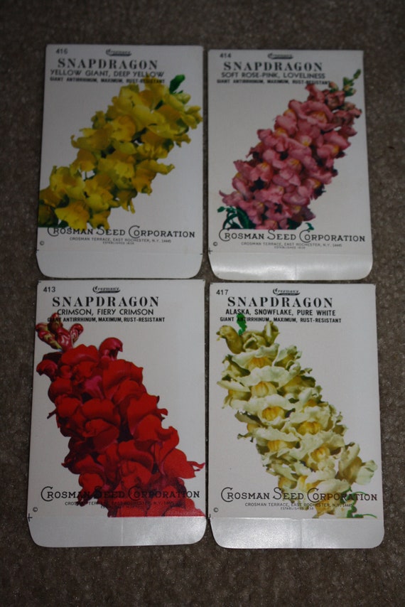 Group of 4 Vintage Snapdragon Seed Packets: Crosman Seed Co. | Etsy