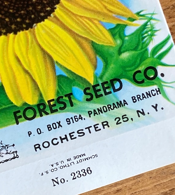 Sunflower Seeds Old Packaging