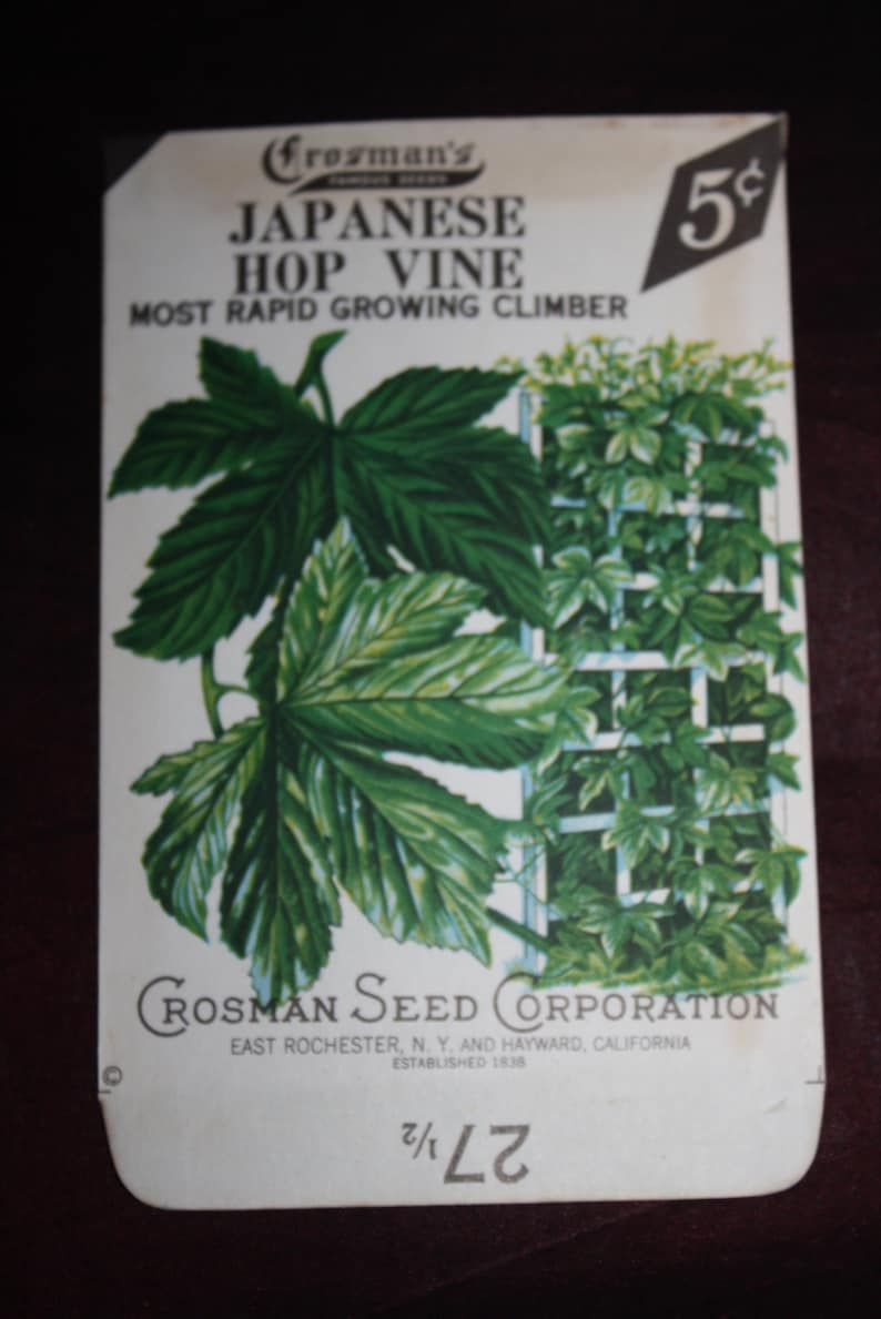 Vintage 1930s Crosman Seeds Unused Seed Packet: Japanese Hop Vine; NOS ...