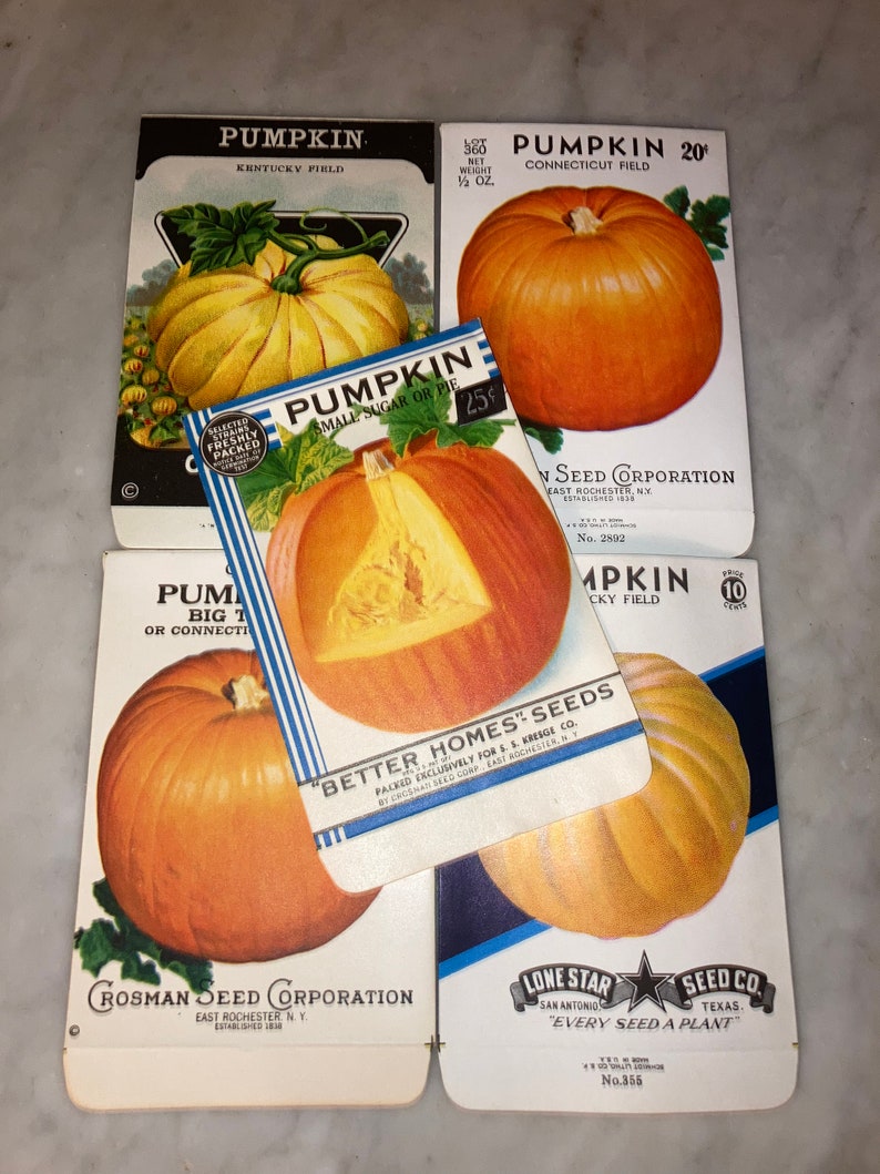 Collection of 5 Different Vintage Pumpkin Seed Packets NOS - Etsy