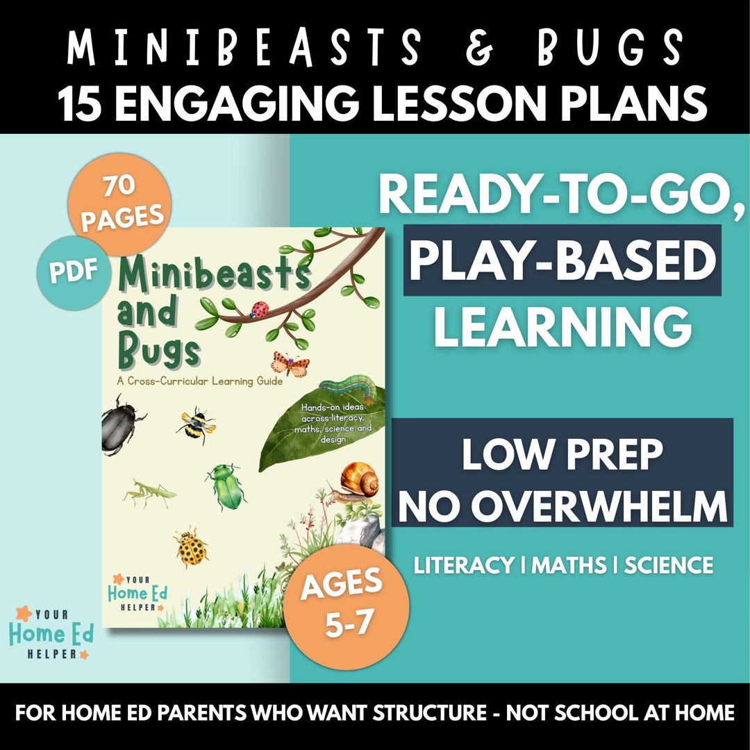 Minibeasts & Bugs Themed Learning Pack | 15 Cross-curricular Activities ...