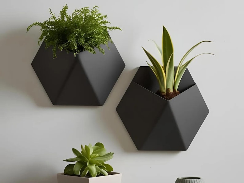 3D Printed Hexagon Wall Planter: Modern Geometric Home Decor - Etsy