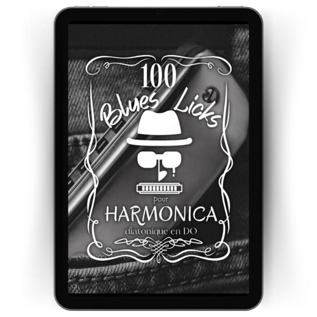 100 Blues Licks / Riffs PDF Book for Diatonic Harmonica in C - Etsy
