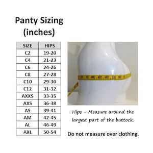 Leolines, LLC ™ Transgender FLAG Print With Lace Trim Panties Underwear ...