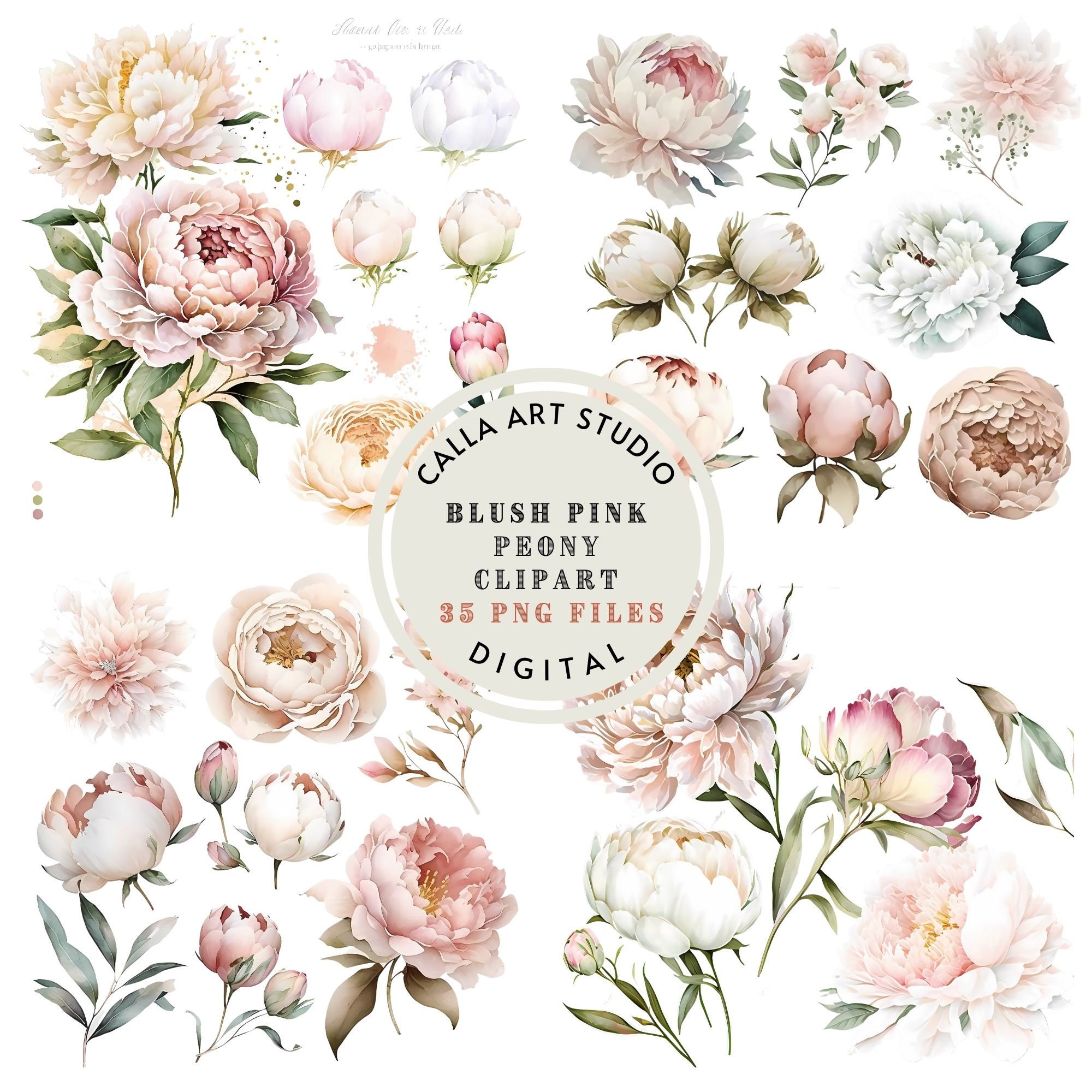 Pink Peony Clipart Watercolor Flower Png Bundle Pink Boho - Etsy