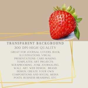 Strawberry Watercolor Clipart, Strawberry PNG, Fruit Illustration for ...