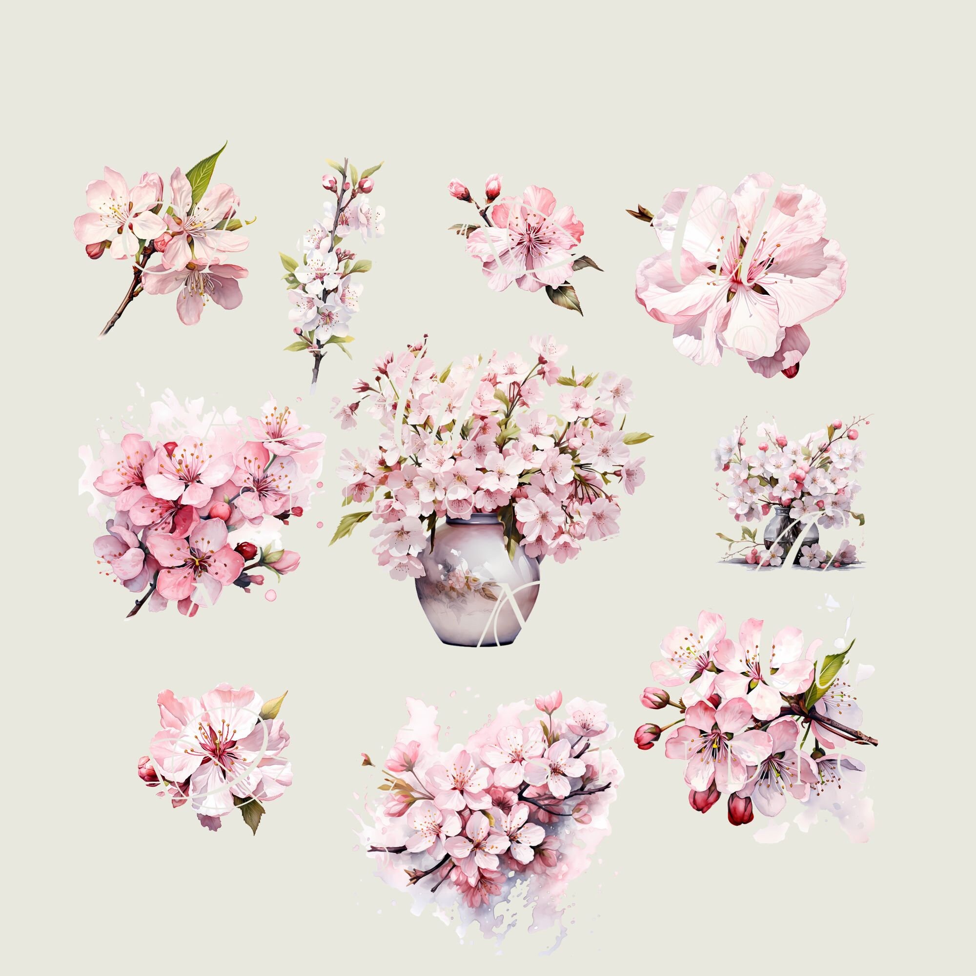 Watercolor Cherry Blossoms Clipart, Cherry Blossoms Images, Sakura ...