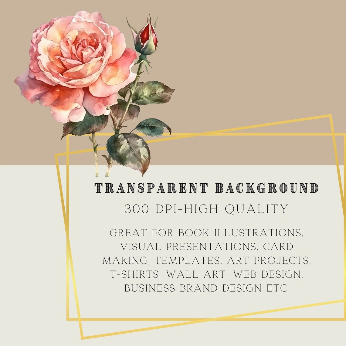 Watercolor Pink Rose Clipart Bundle Flower Clipart Pink Flower Png Rose ...