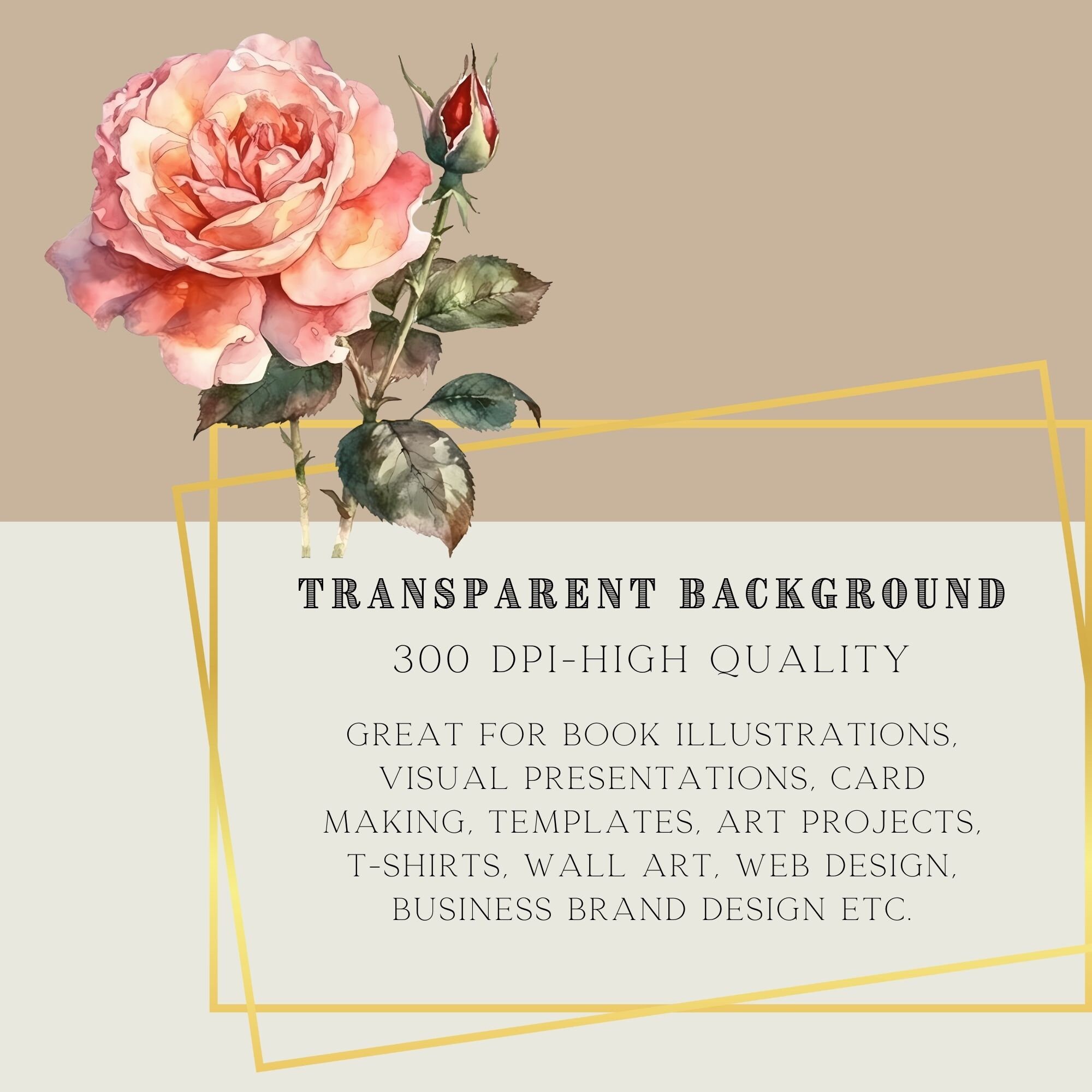 Watercolor Pink Rose Clipart Bundle Flower Clipart Pink Flower Png Rose ...