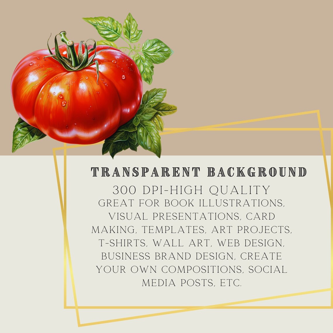 Watercolor Tomatoes Clipart Food PNG Files Vegetable Clip Art Tomatoes ...