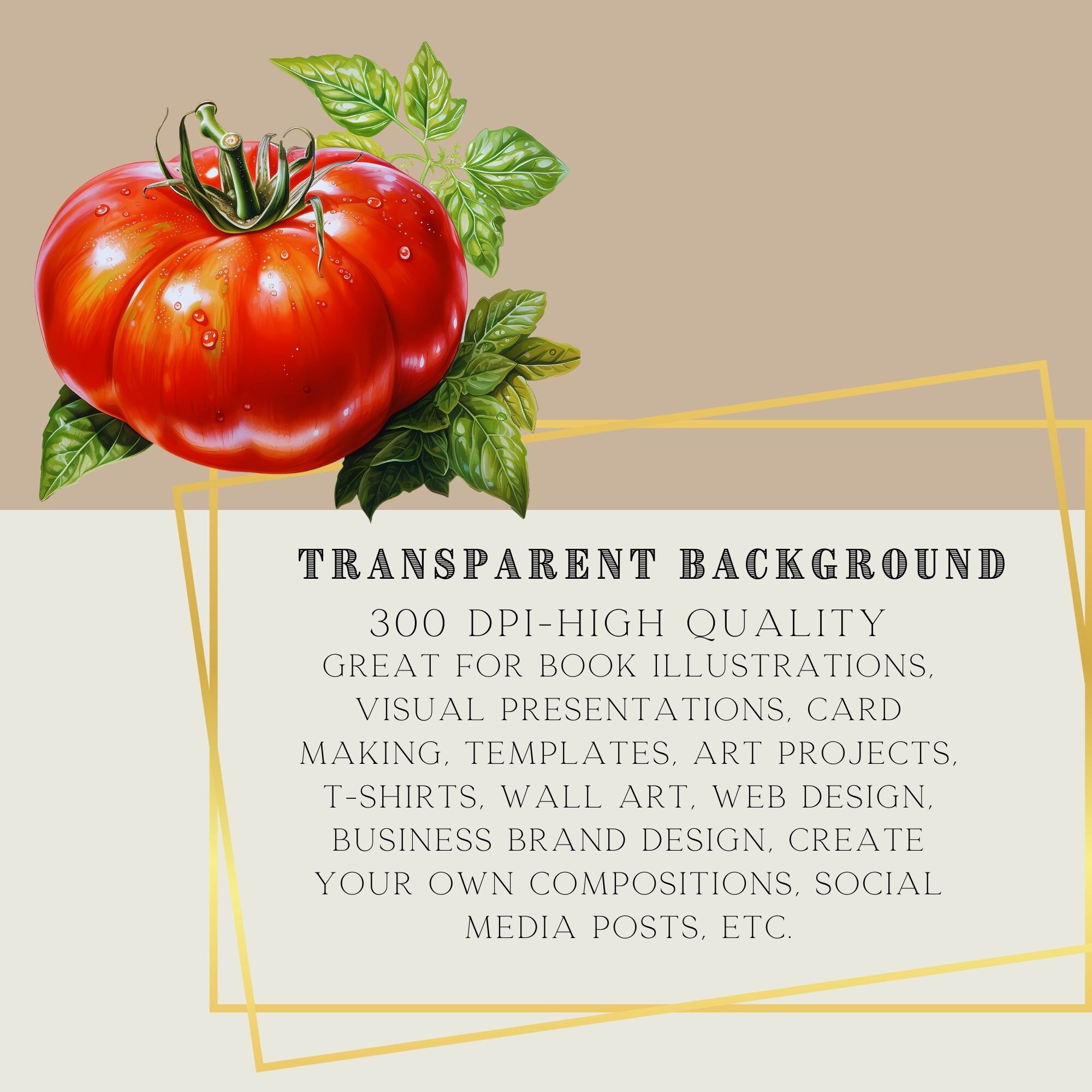 Watercolor Tomatoes Clipart Food PNG Files Vegetable Clip Art Tomatoes ...