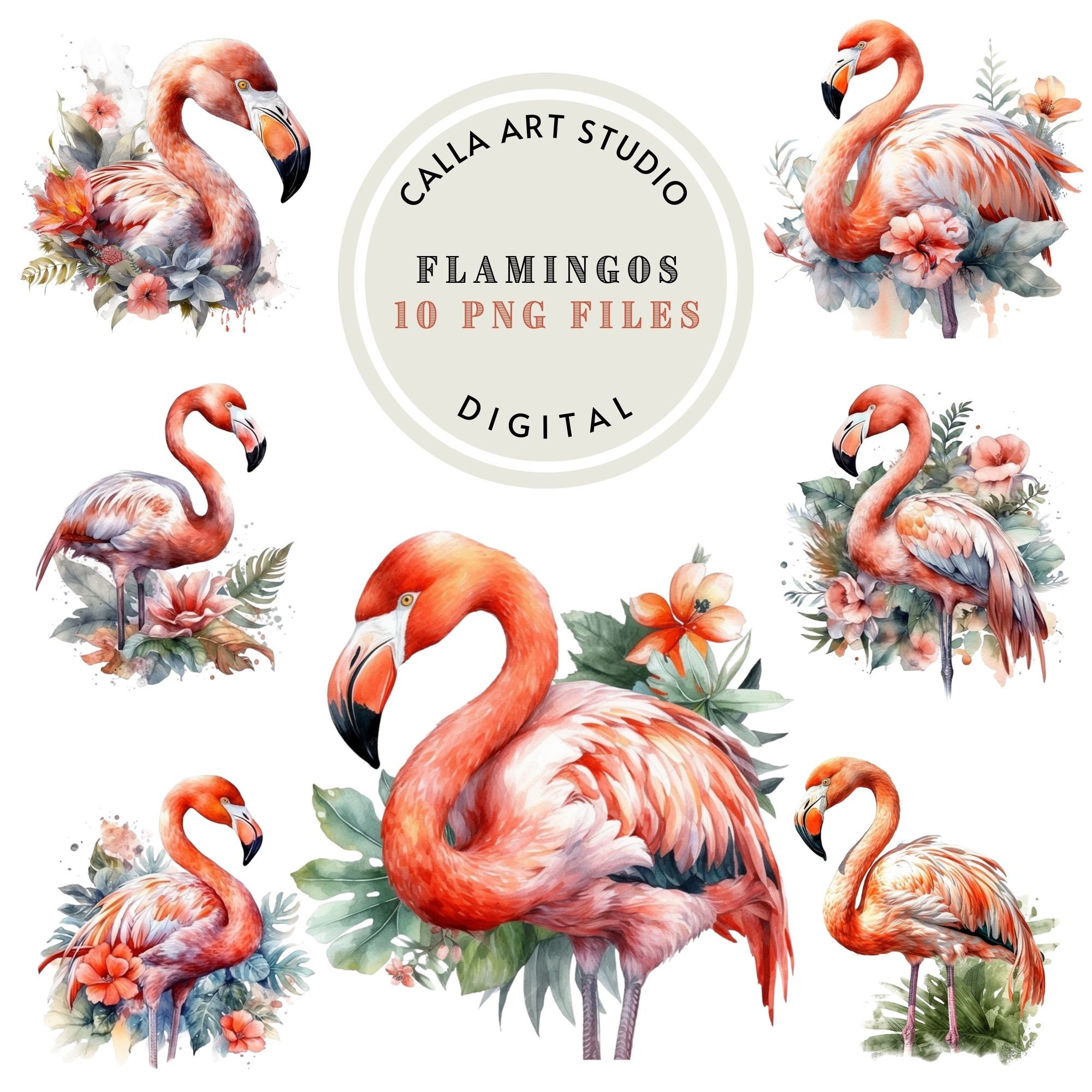 Flamingo Clipart Tropical Birds Clipart Pink Flamingo Png Watercolor ...