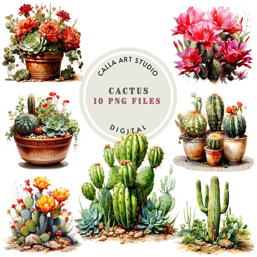 Watercolor Cactus Clipart, Desert Cactuspng, Botanical Plant Clip Art ...