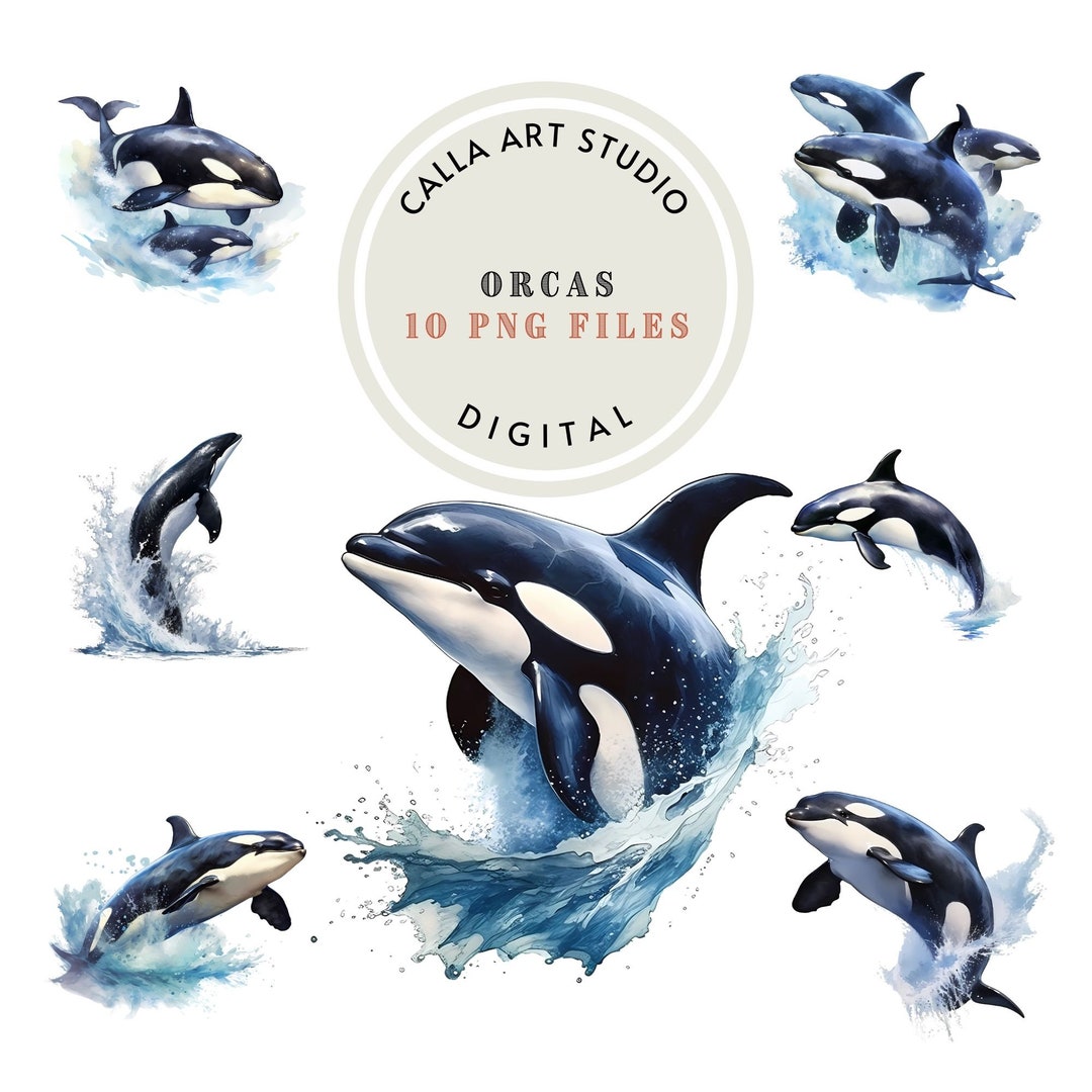 Orca Whales Watercolor Clipart Bundle Birthday Clipart Ocean Creatures ...