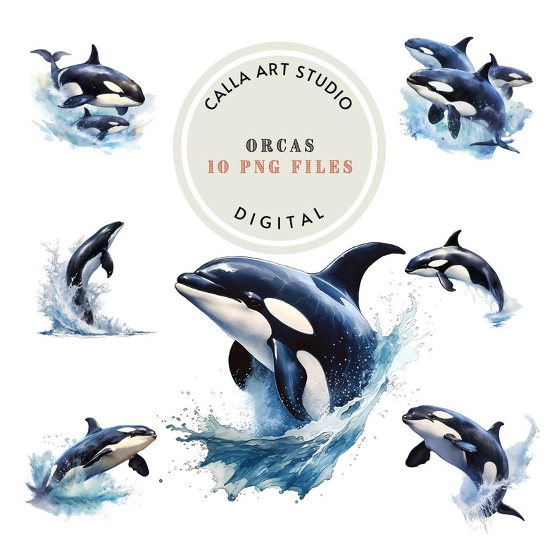 Orca Whales Watercolor Clipart Bundle Birthday Clipart Ocean - Etsy