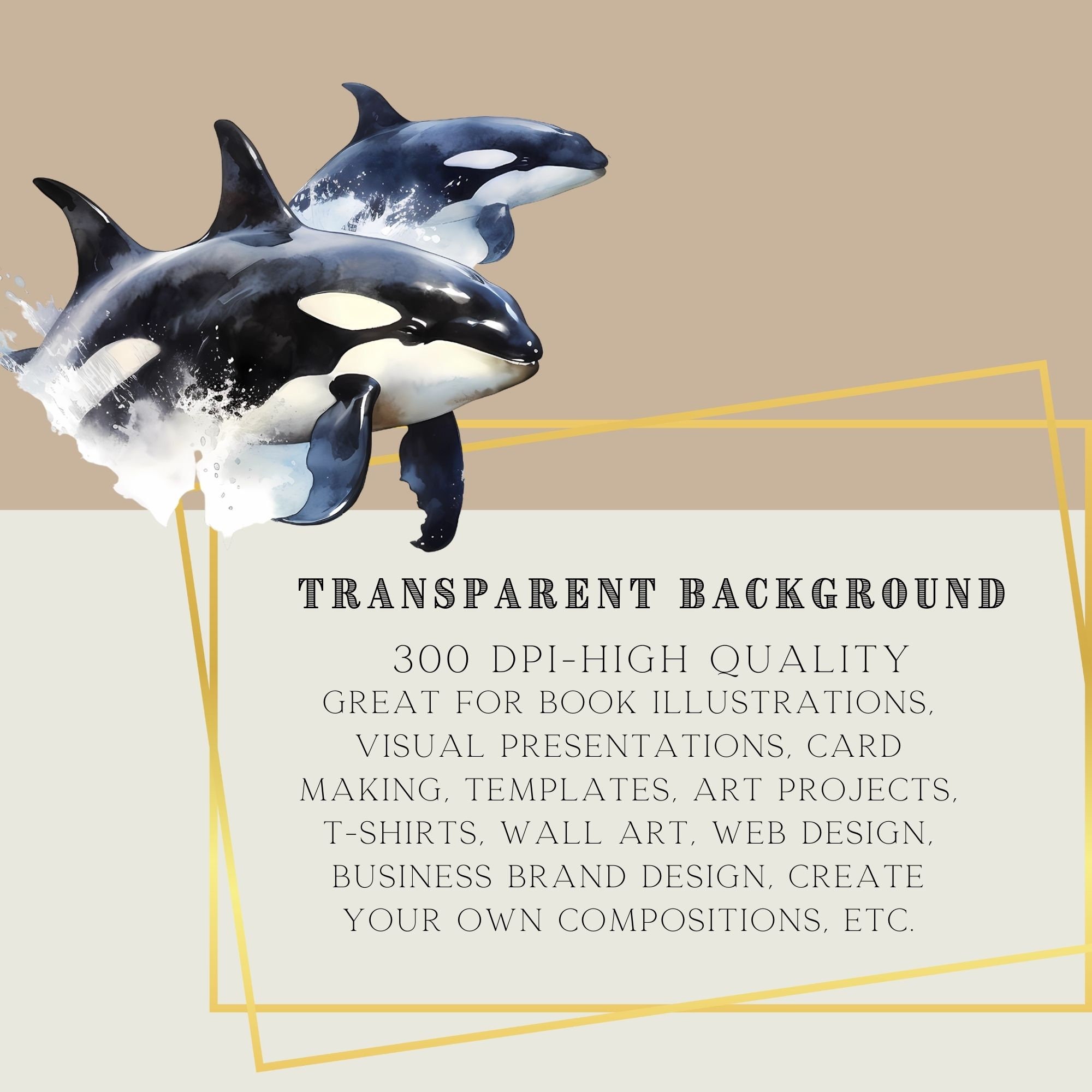 Orca Whales Watercolor Clipart Bundle Birthday Clipart Ocean Creatures ...