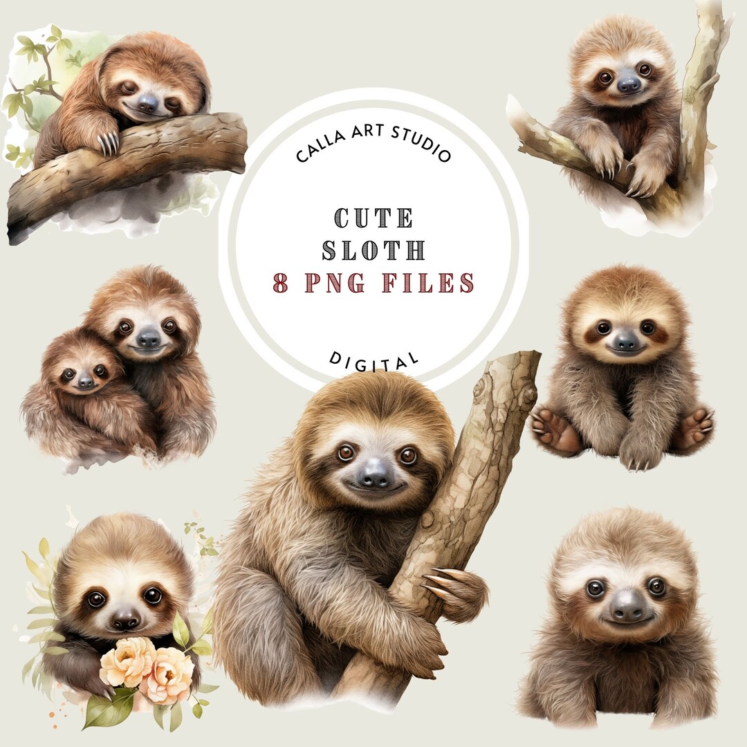 Watercolor Sloth Clipart Bundle, Cute Sloth PNG, Exotic Animal Image ...