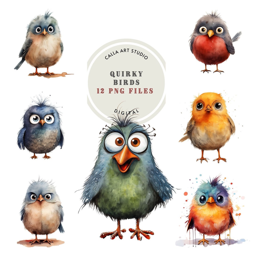 Quirky Bird Watercolor Clipart, Funny Bird Illustrations, Card Making ...