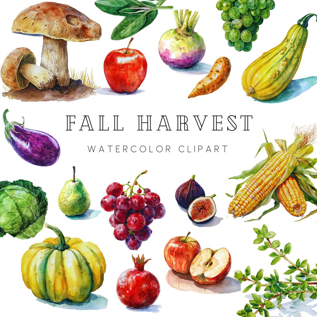 Watercolor Fall Harvest Clipart Bundle, Autumn Clipart, Watercolor Fall ...